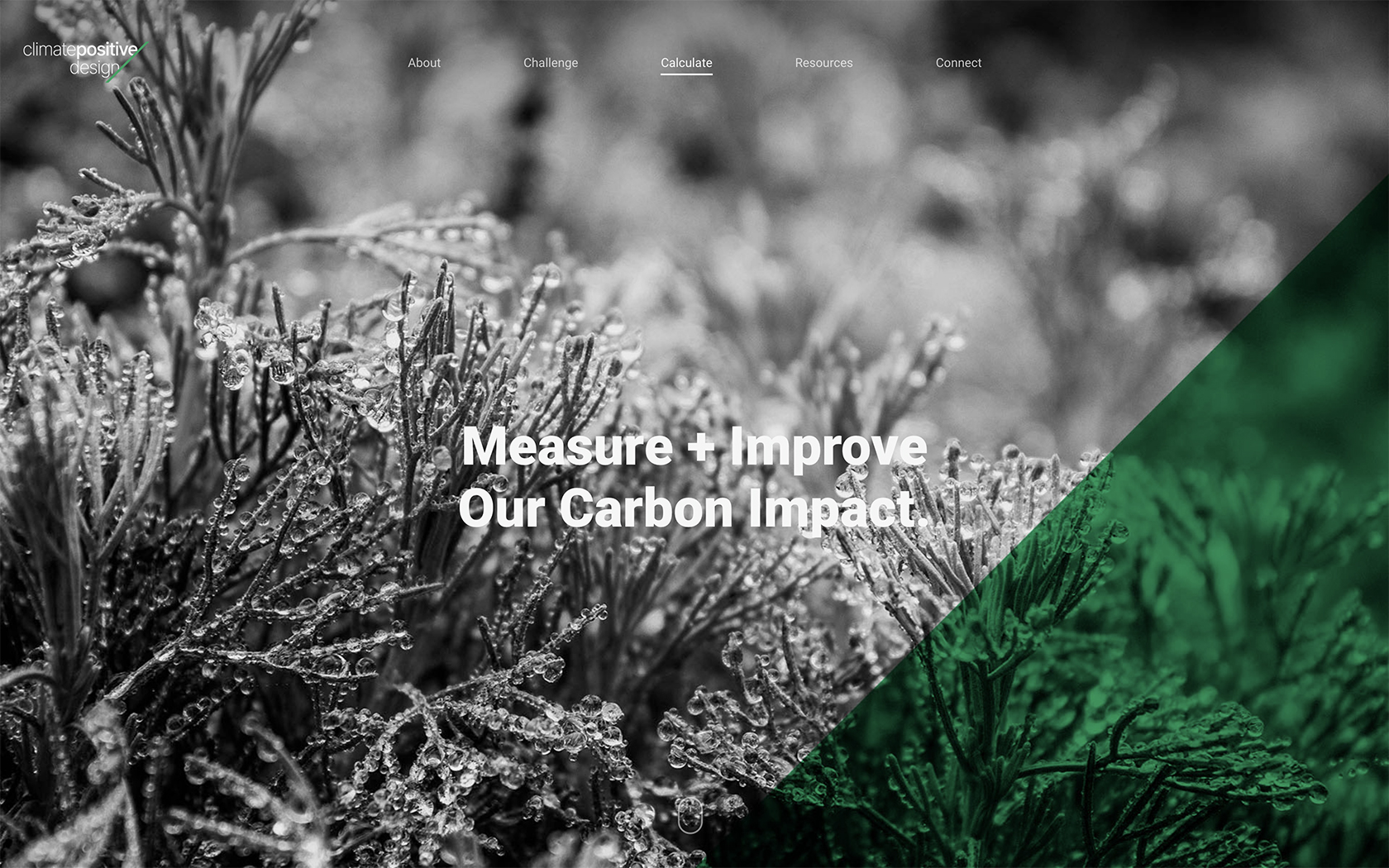 Education — Improve Our Carbon Impact — Climate Positive Design