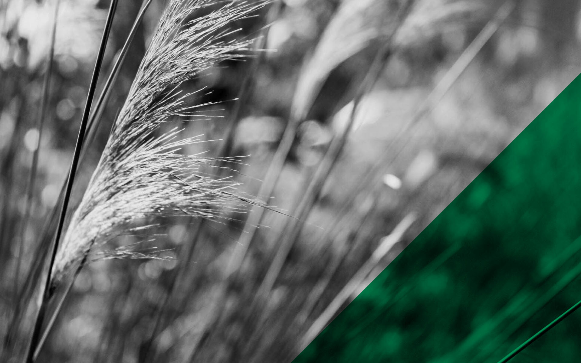 Support Climate Positive Design — Taking Climate Action Today — Climate ...