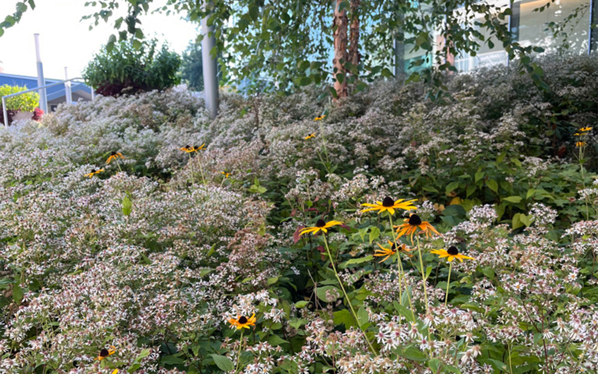 Pennsylvania State University - Sustainable Landscape Implementation Plan