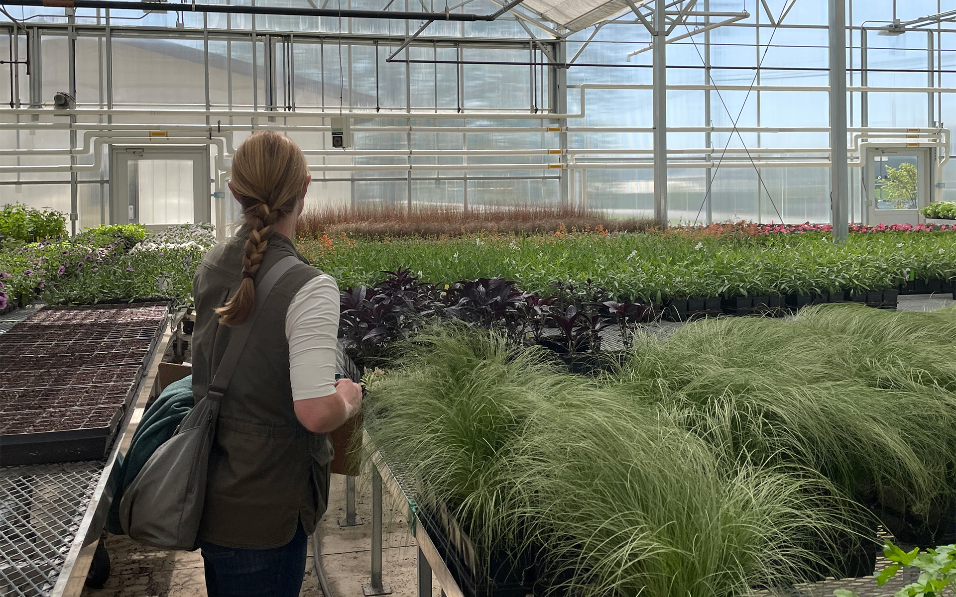 Pennsylvania State University - Sustainable Landscape Implementation Plan